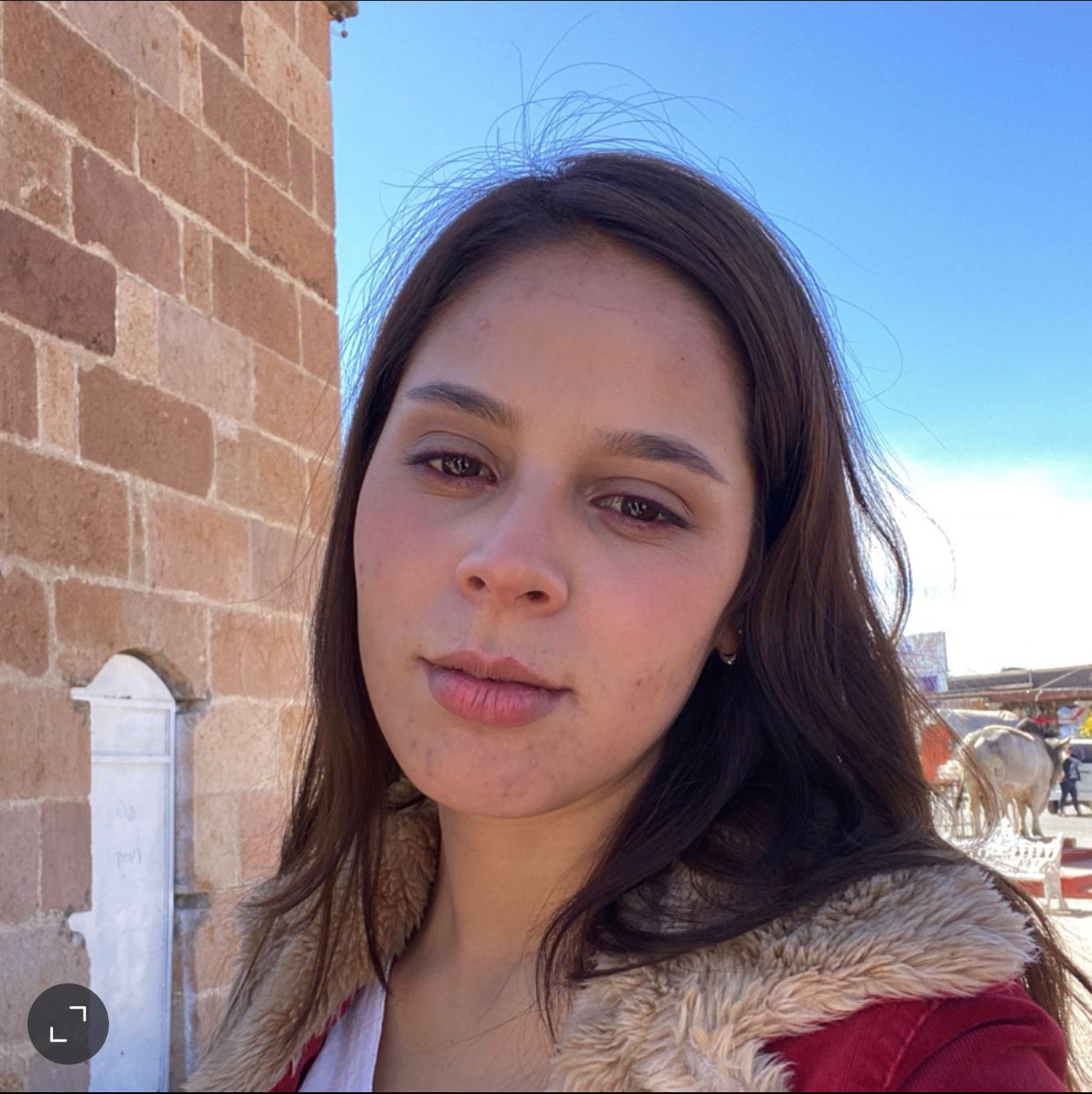 Aline Zavala | Desarrollo Web Front-End